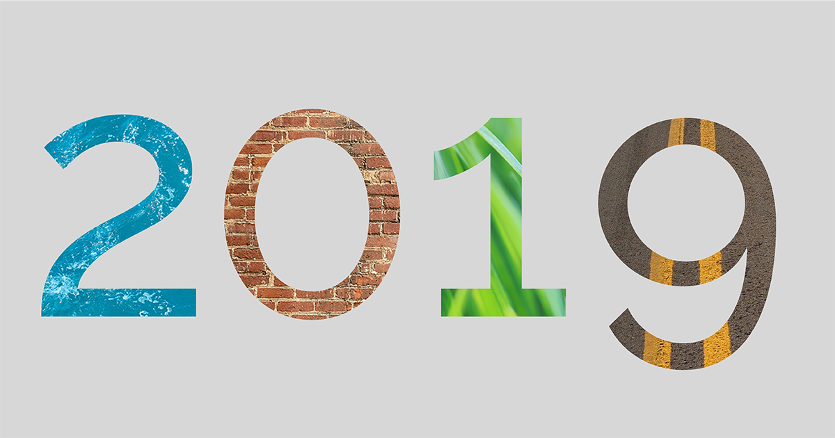 Year in Review: 2019 - ms consultants