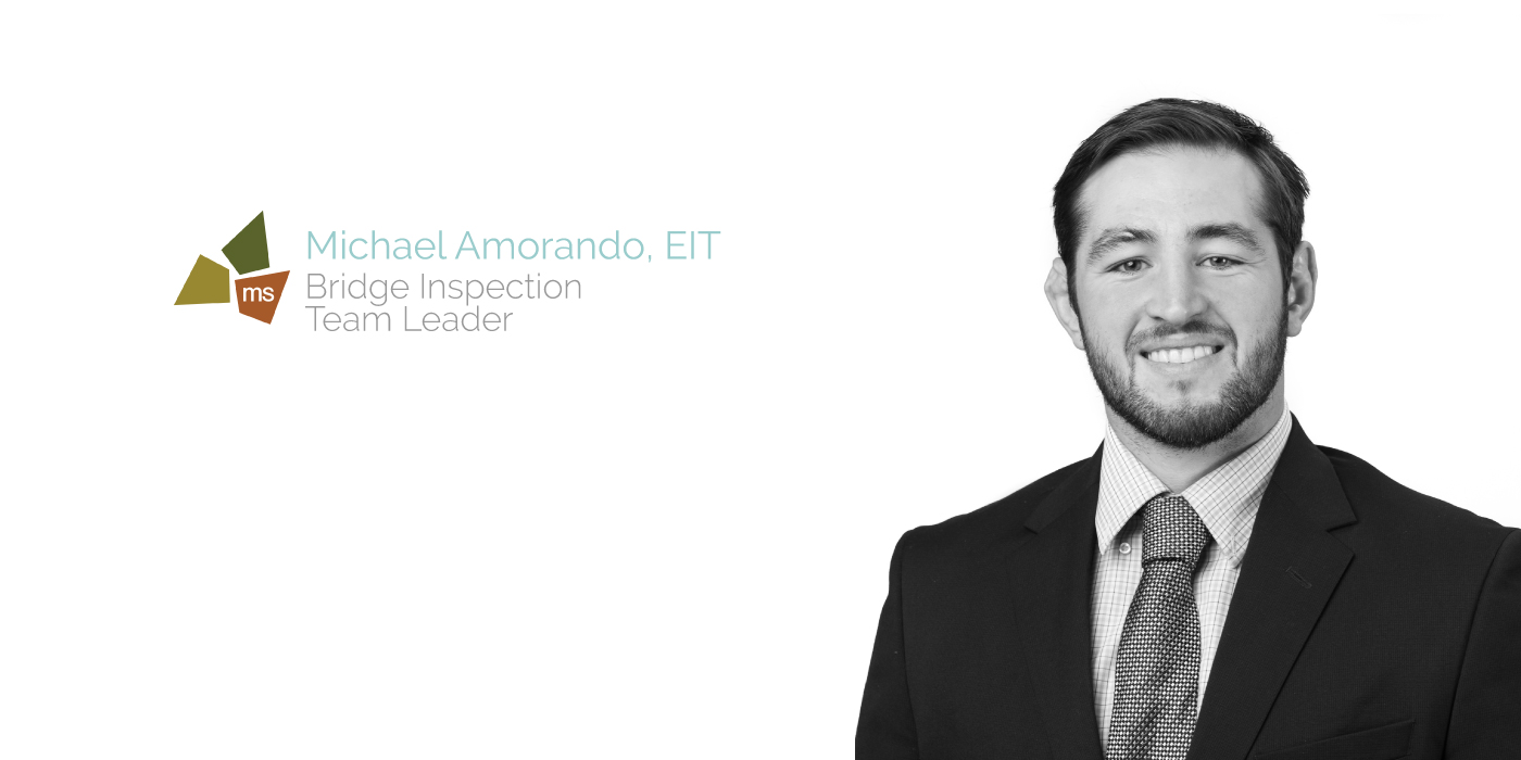 ms Q+A: Michael Amorando - ms consultants