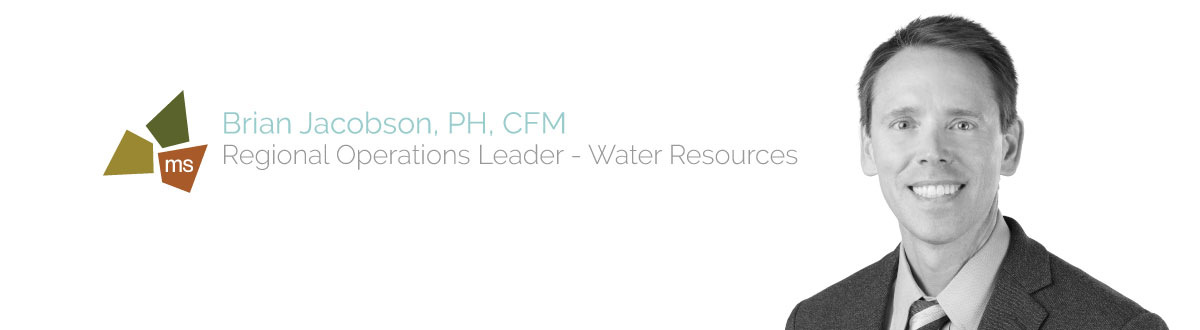 News and Insights - ms consultants